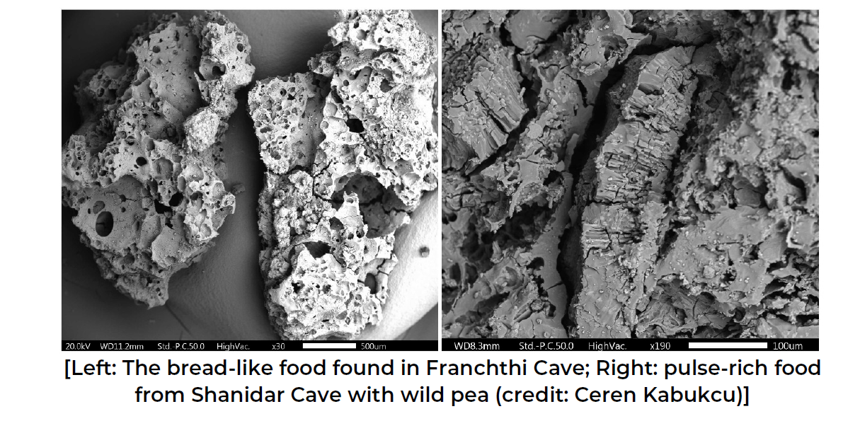 Cooking in caves: research reveals sophisticated prehistoric culinary ...